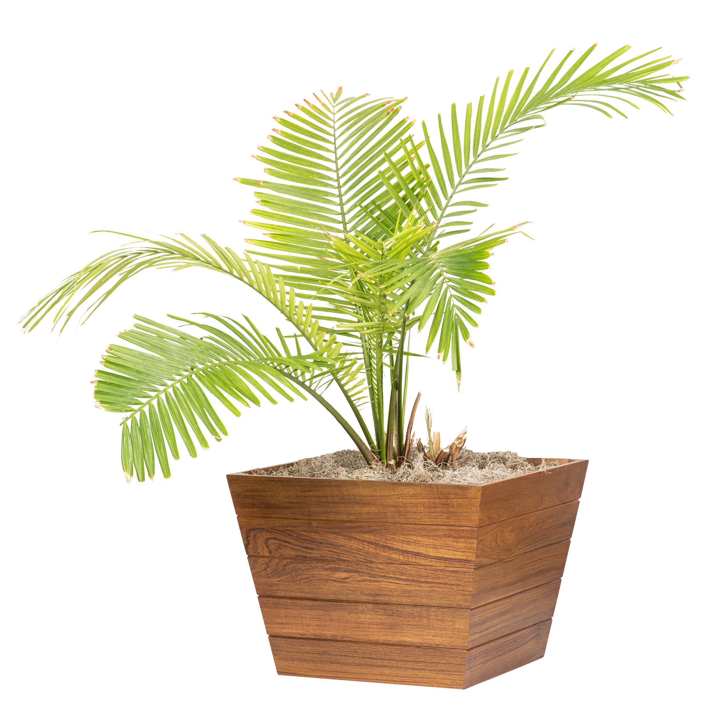 14" Medium Premium Grade Teak Planter Box – Whitecap Marine Hardware